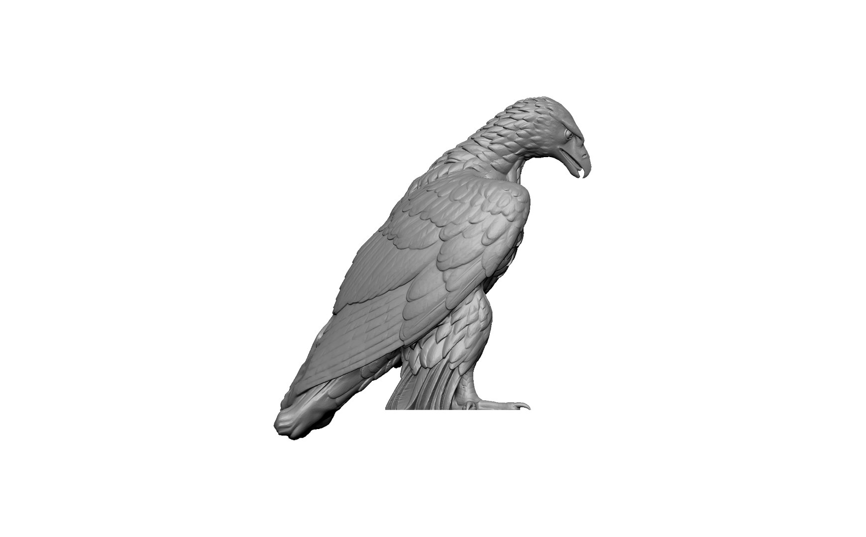 Eagle Hawk Bird Statue 3D Model - TurboSquid 2228182