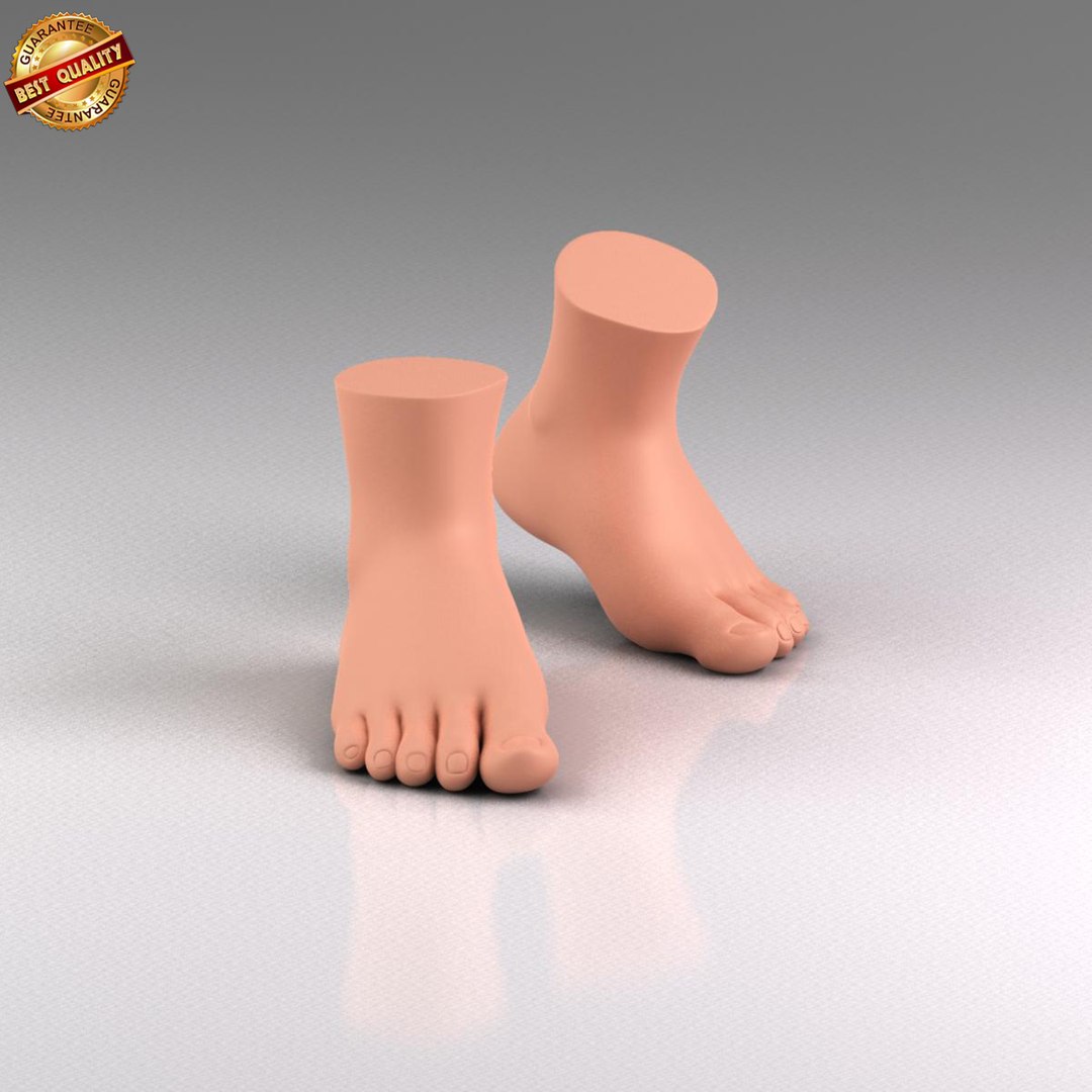 Modeled Anatomy Medical Obj