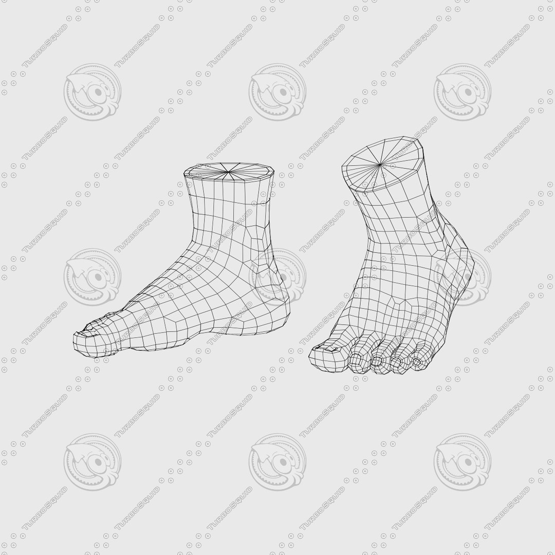 Modeled Anatomy Medical Obj