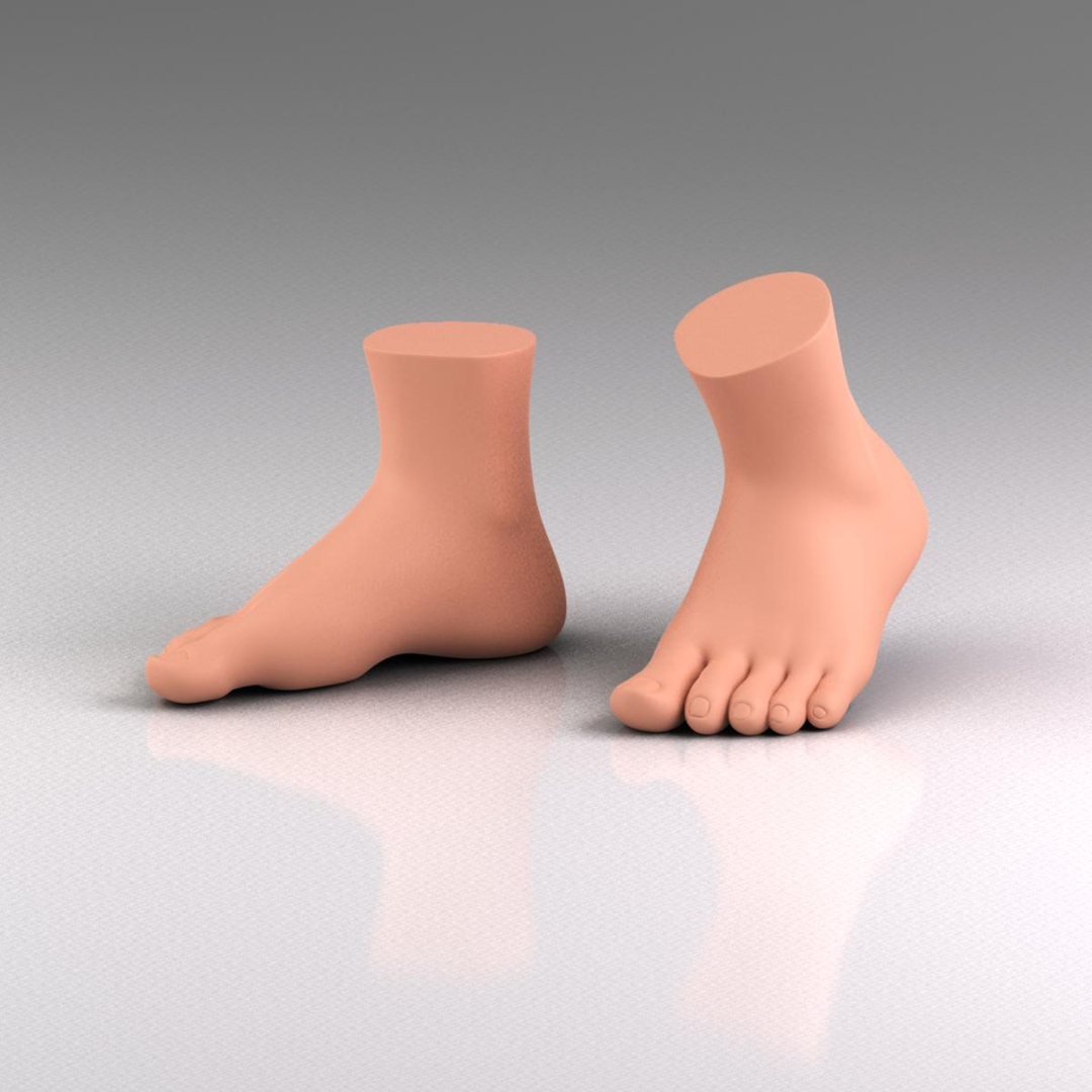 Modeled Anatomy Medical Obj