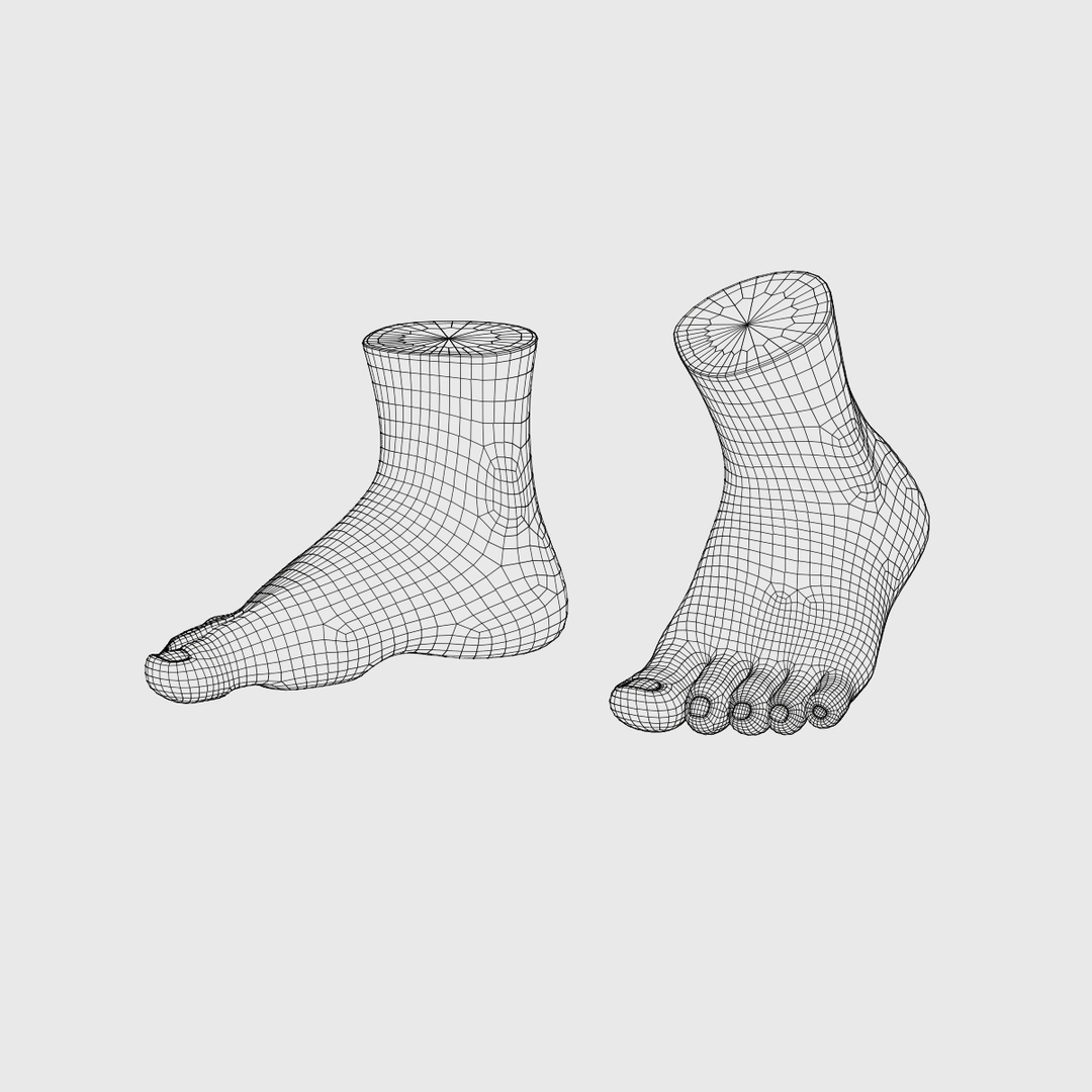 Modeled Anatomy Medical Obj