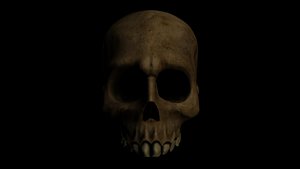 Free Low Poly 3D Skull Models For Download | TurboSquid