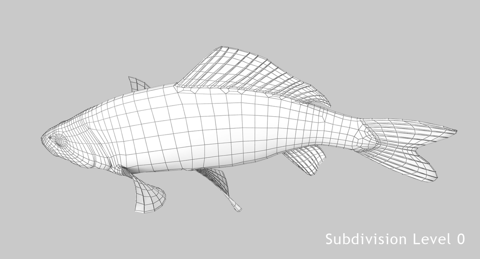 3d Model Gibel Carp Prussian Animation