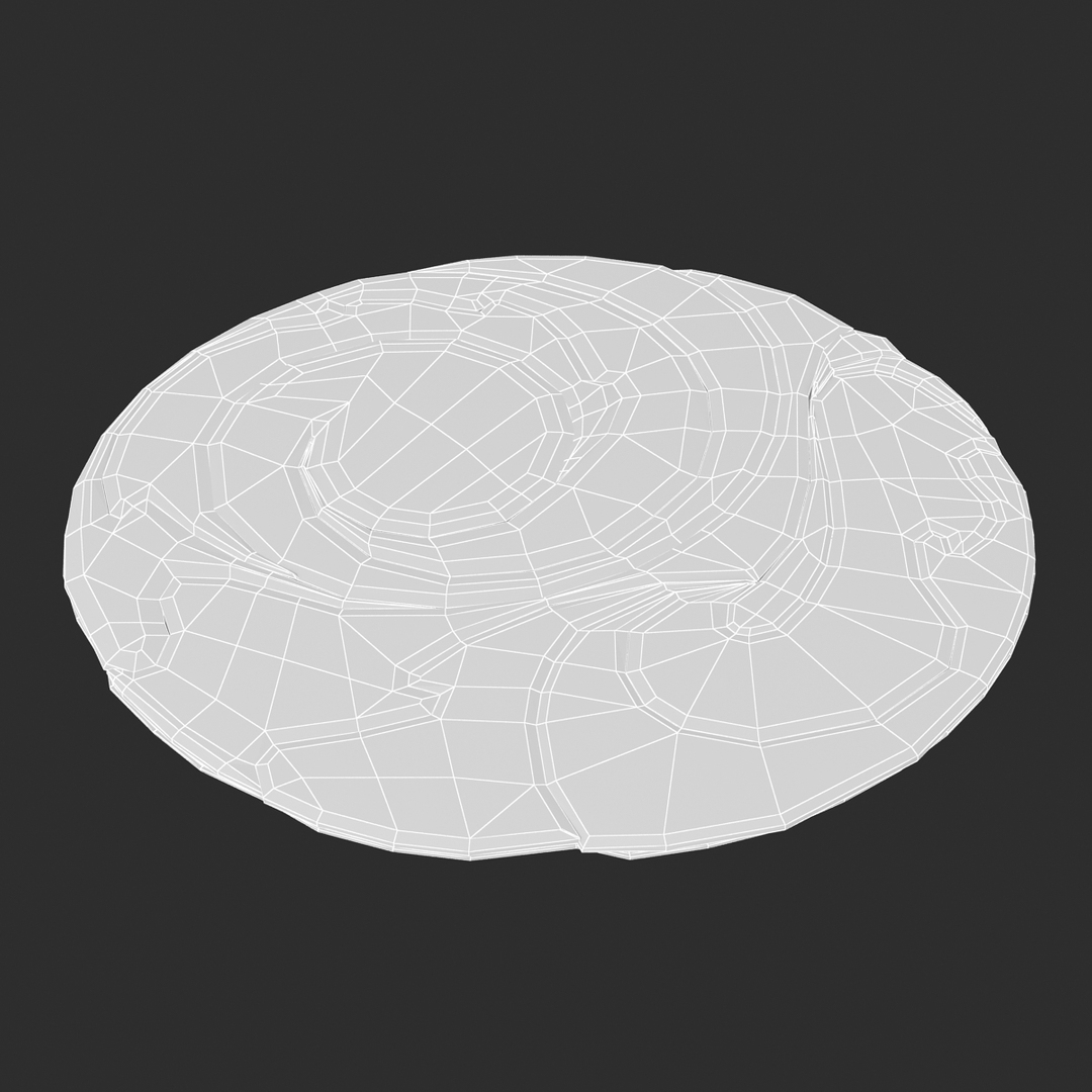 Circular Throw Rug 3d C4d