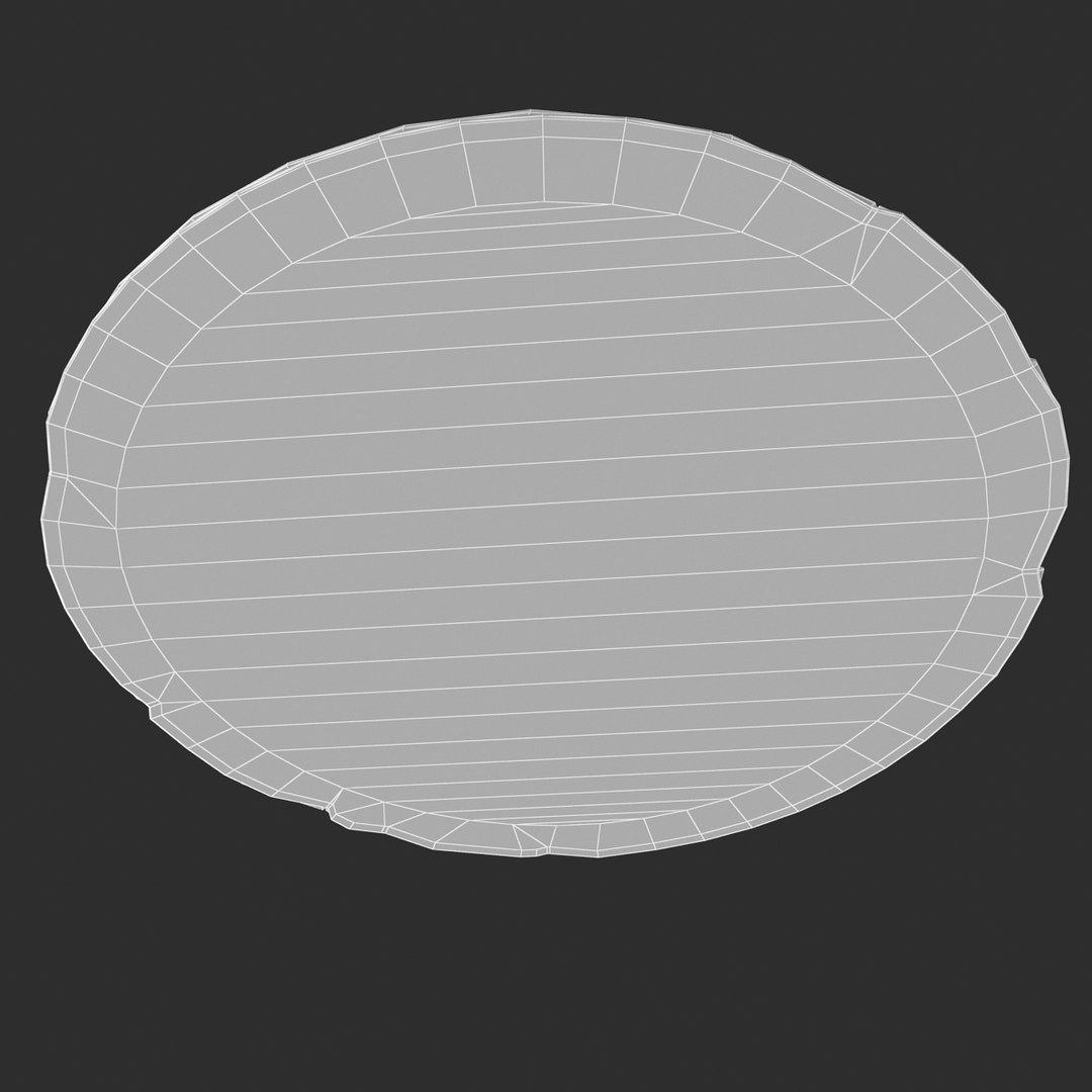 Circular Throw Rug 3d C4d