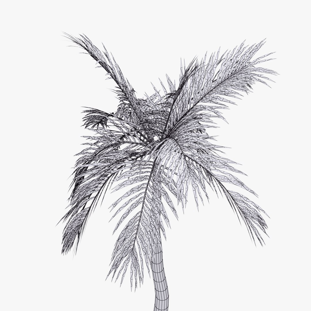 3d Palm 02 Model