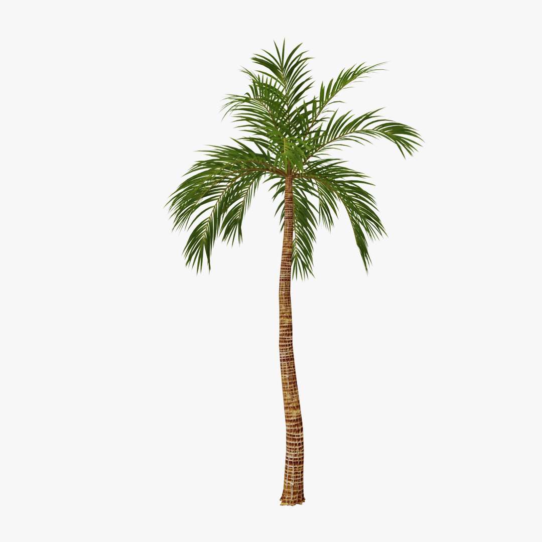 3d Palm 02 Model