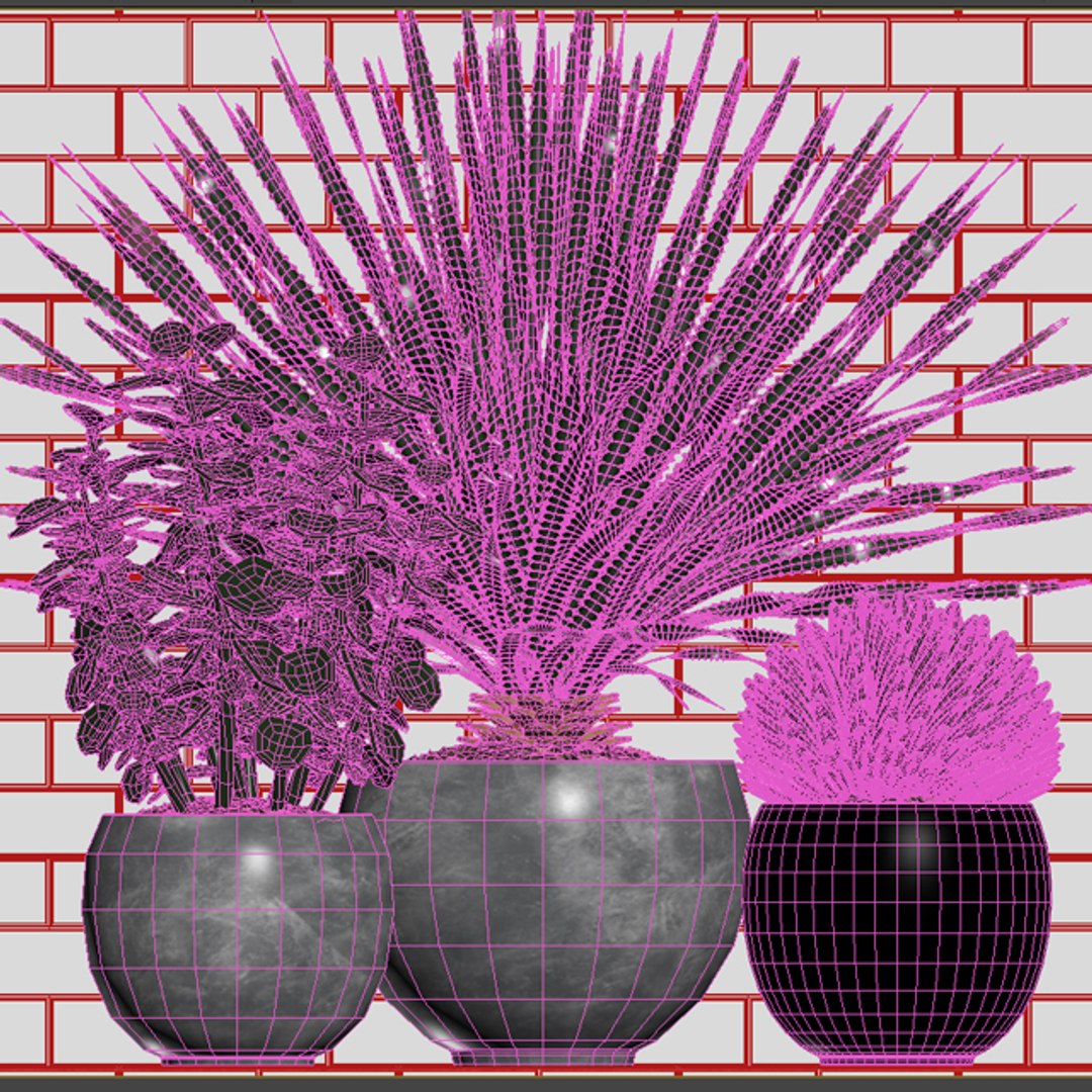 Plants 167 model - TurboSquid 1558642
