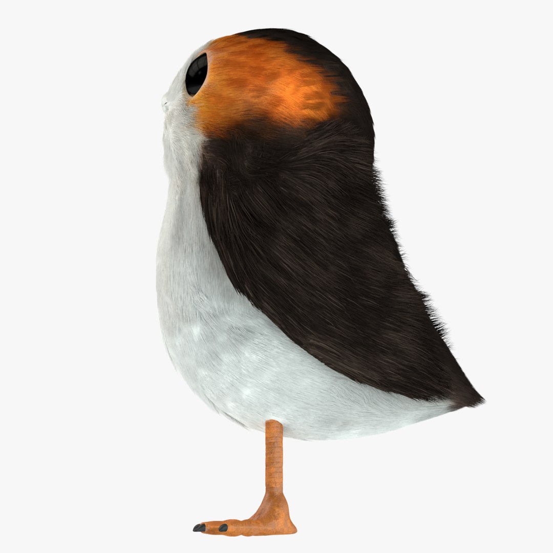 Porg 3D Model - TurboSquid 1237842
