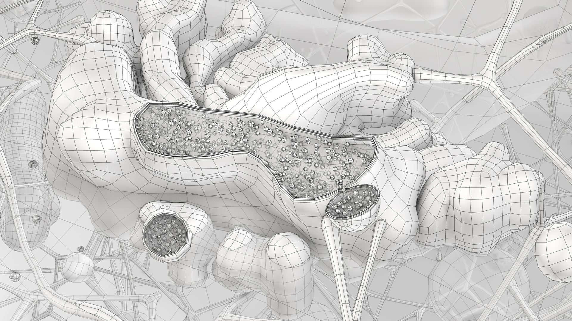 Plant Cell Structure 3D model - TurboSquid 1732649