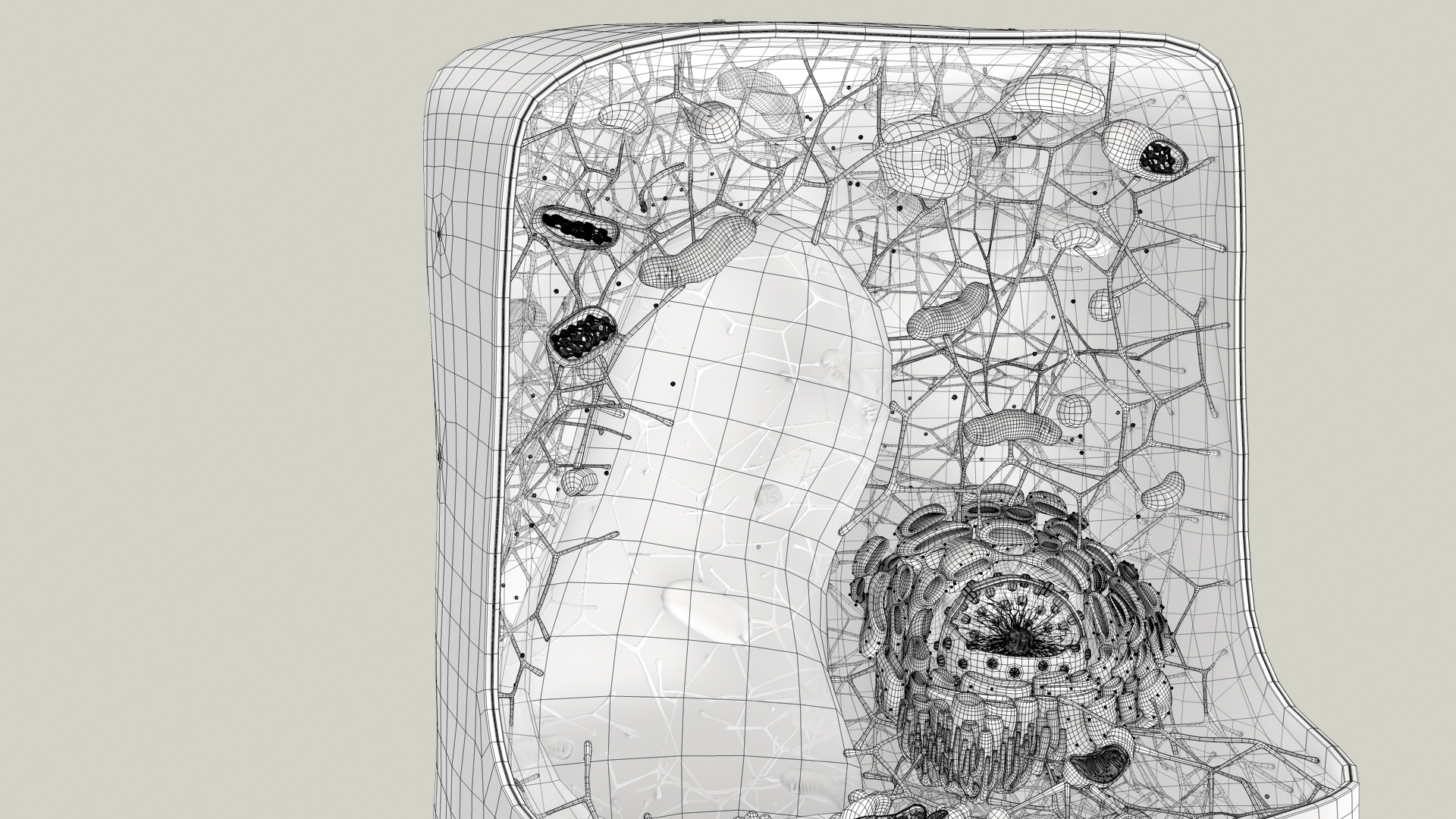 Plant Cell Structure 3D model - TurboSquid 1732649