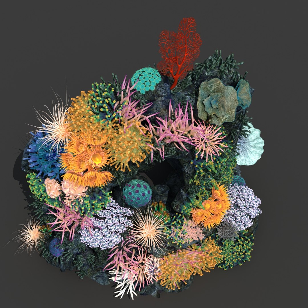 Coral 3d Max
