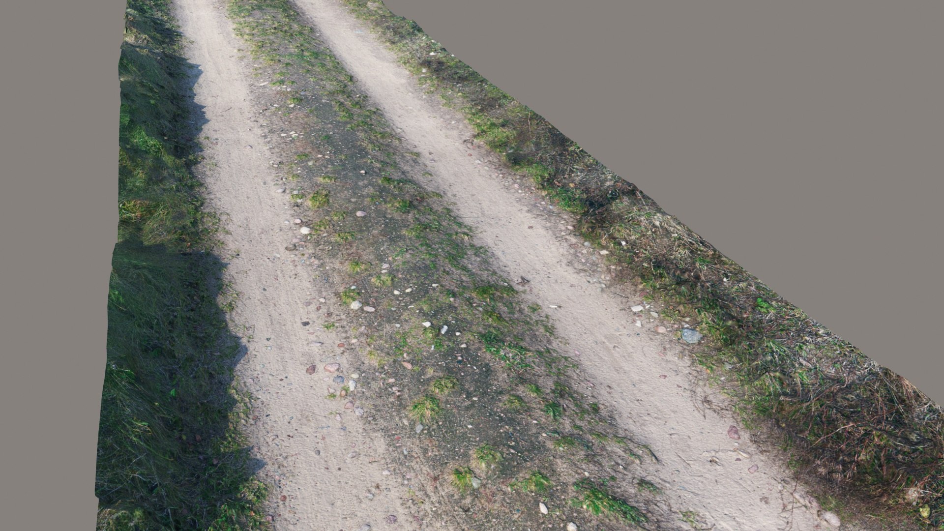 3D Forest Road Model - TurboSquid 1462855