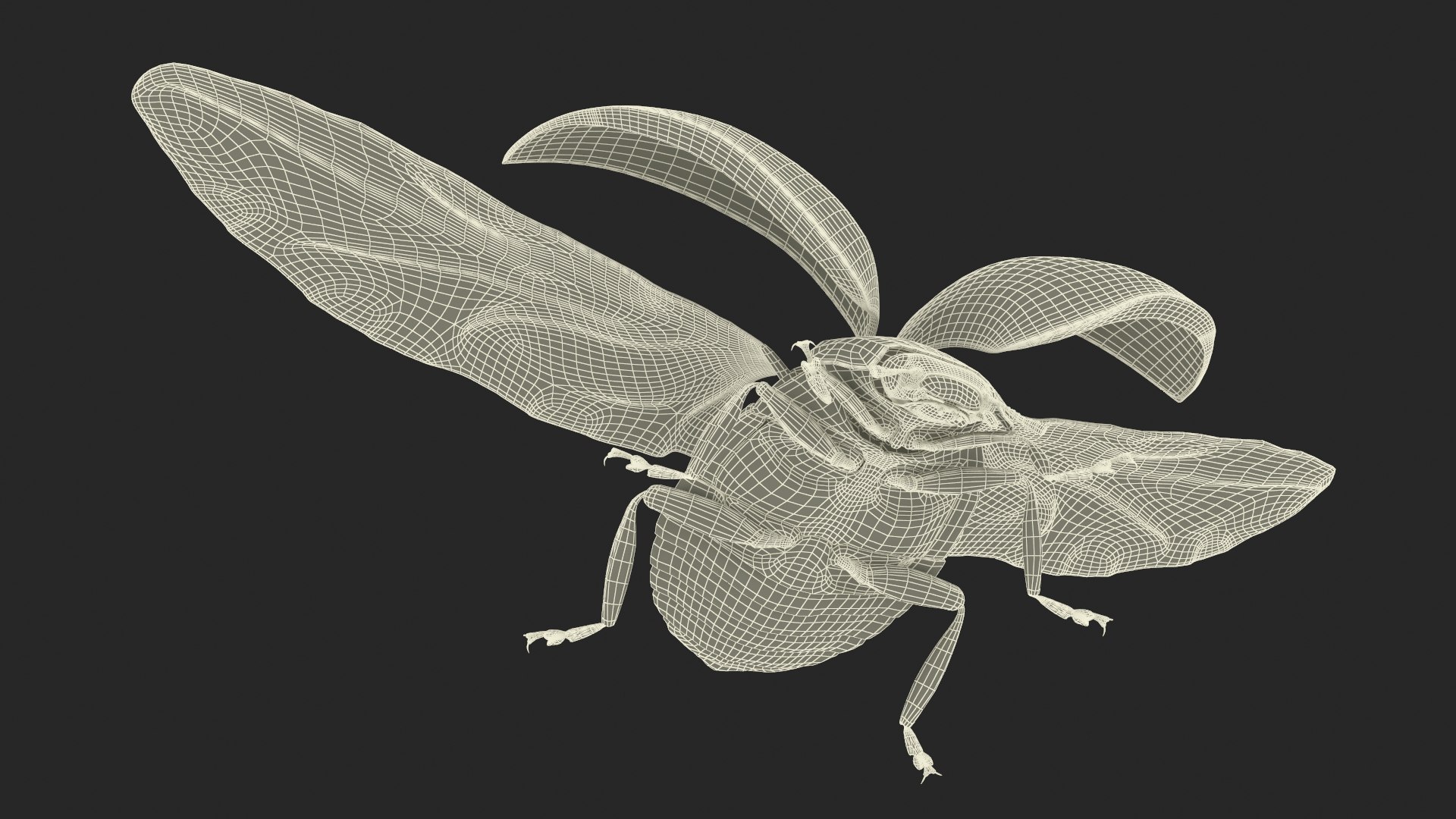 3D Realistic Flying Ladybug Model - TurboSquid 2326303