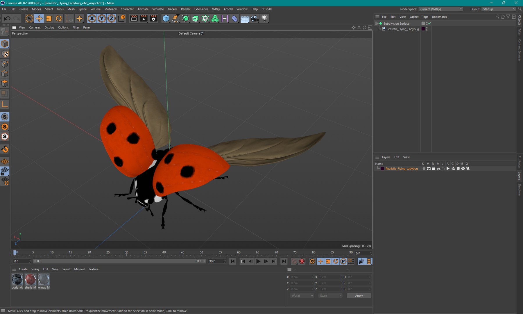 3D Realistic Flying Ladybug Model - TurboSquid 2326303