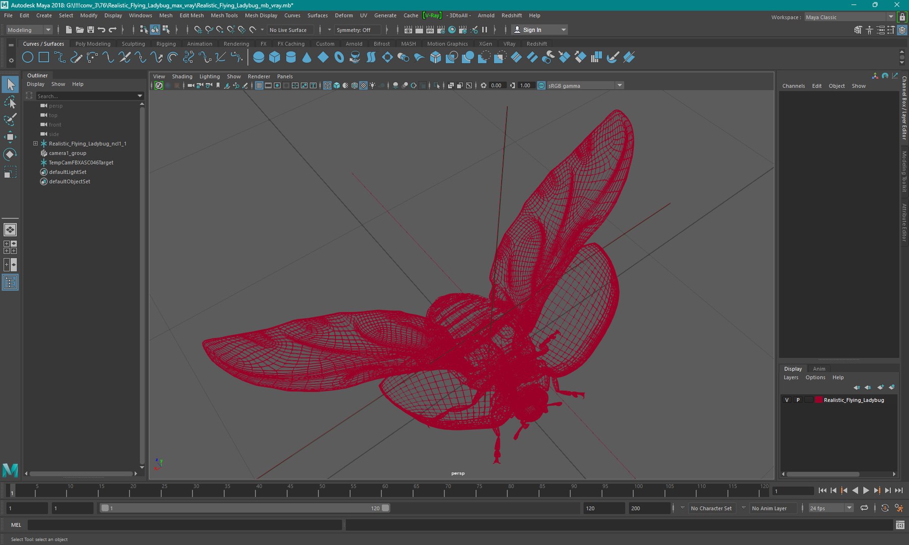 3D Realistic Flying Ladybug Model - TurboSquid 2326303
