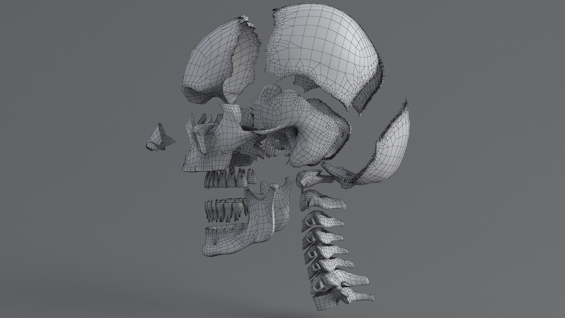 3D model human skull anatomy - TurboSquid 1562044
