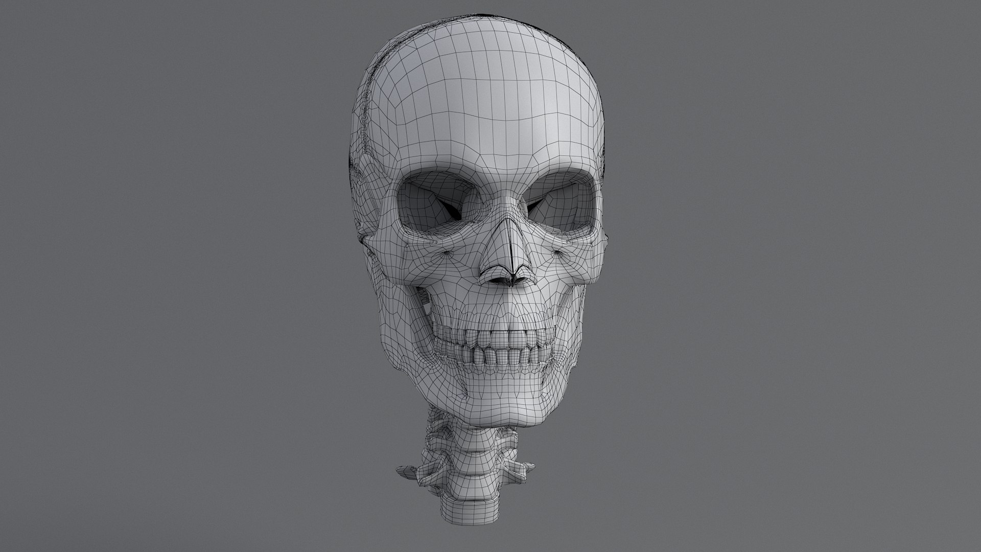 3D model human skull anatomy - TurboSquid 1562044