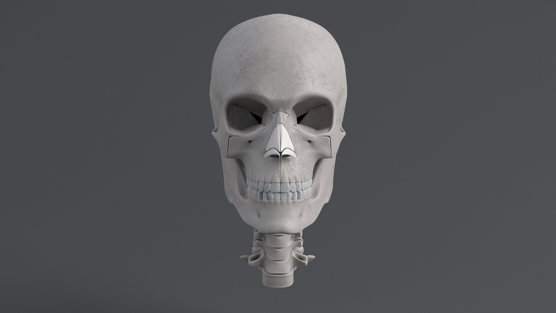 3D model human skull anatomy - TurboSquid 1562044