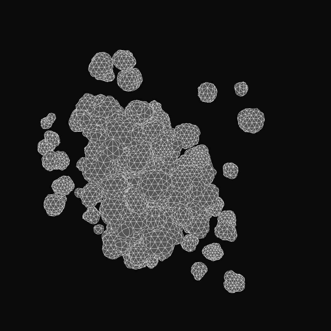 3d Model Protozoan Amoeba Proteus