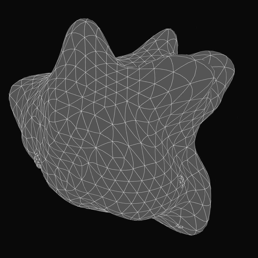 3d Model Protozoan Amoeba Proteus