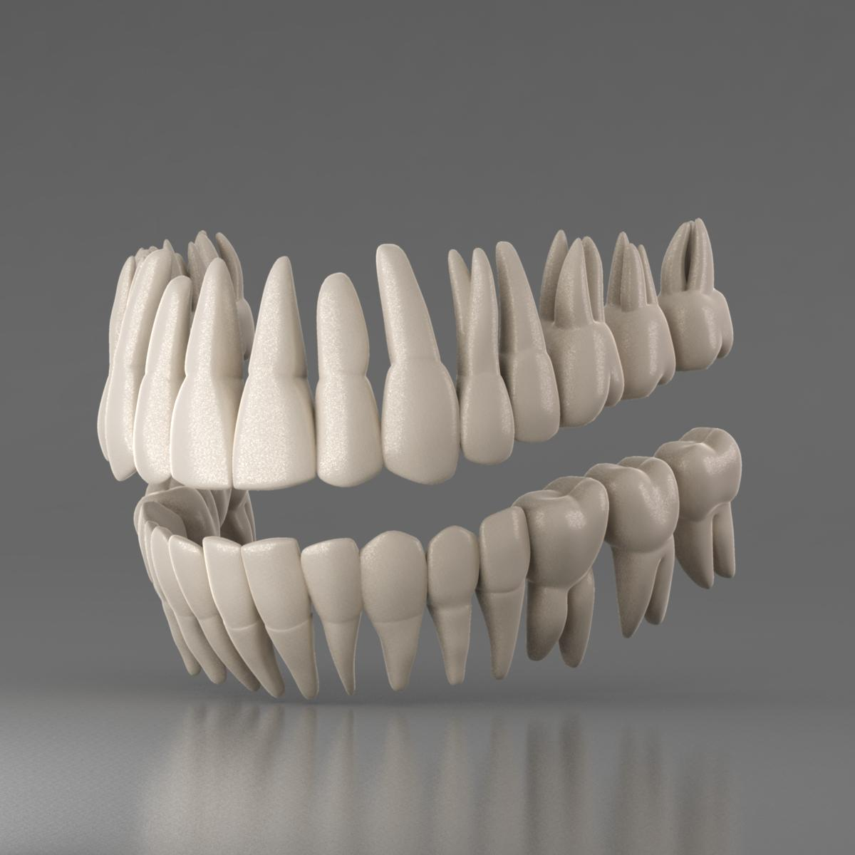 human teeth obj