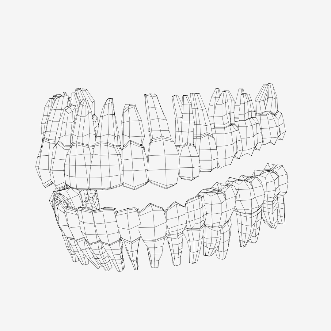 Human Teeth Obj