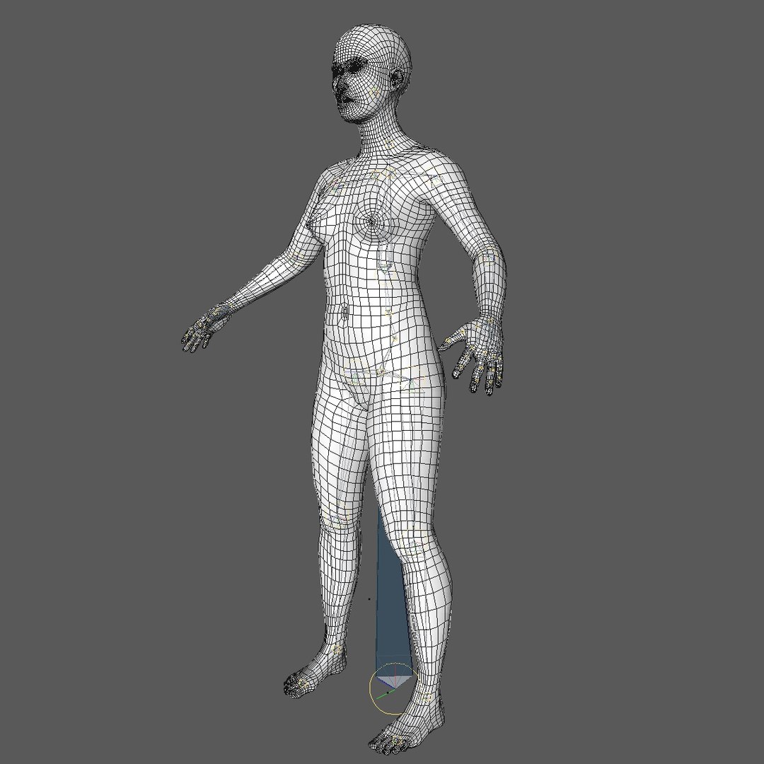Realistic Human Body 25 3D Model - TurboSquid 1260209