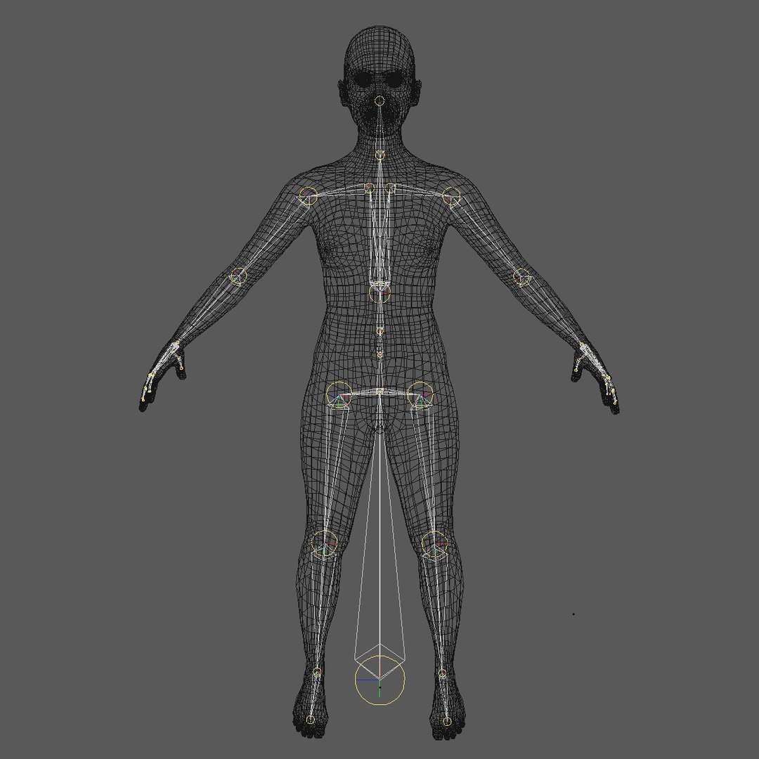 Realistic Human Body 25 3D Model - TurboSquid 1260209