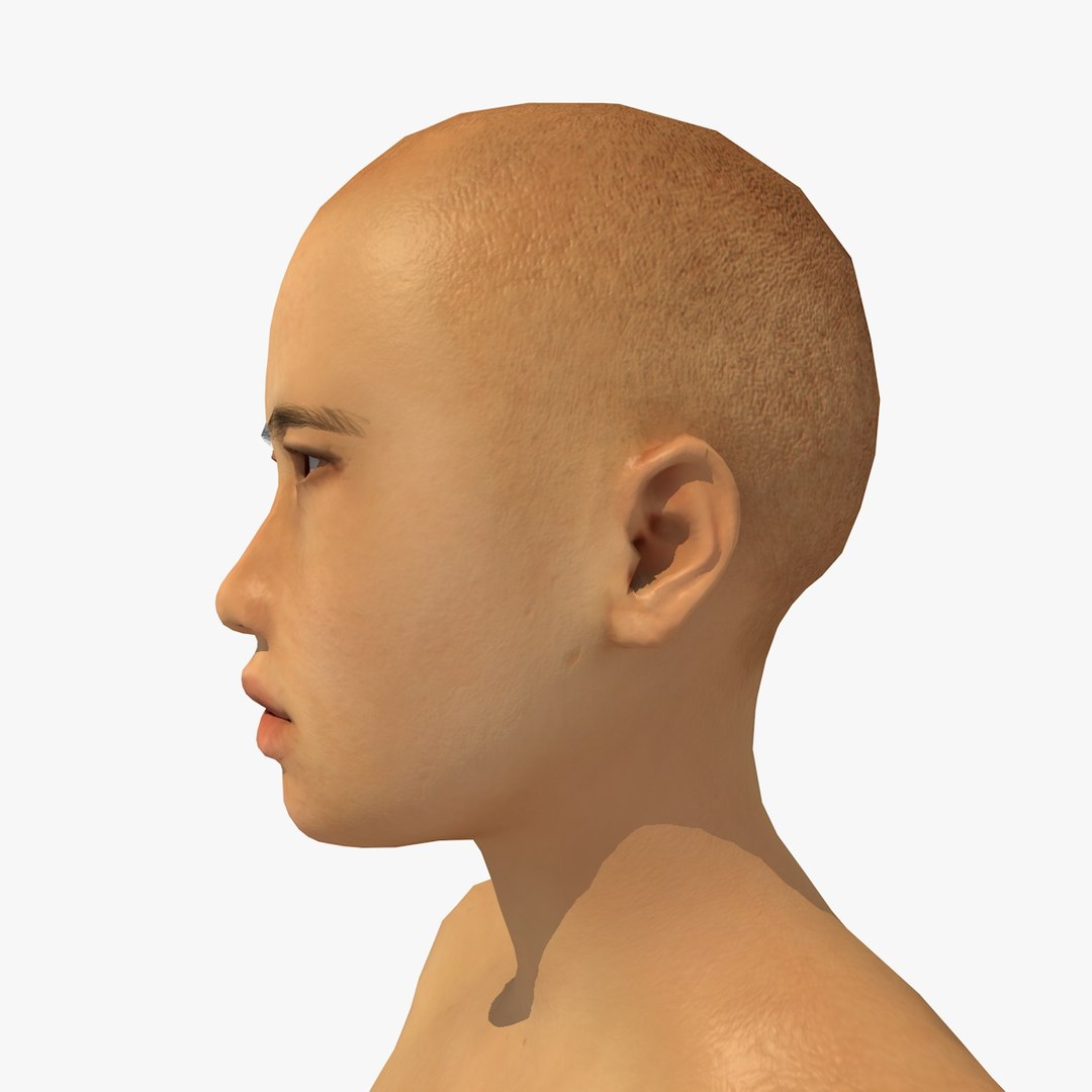 Realistic Human Body 25 3D Model - TurboSquid 1260209