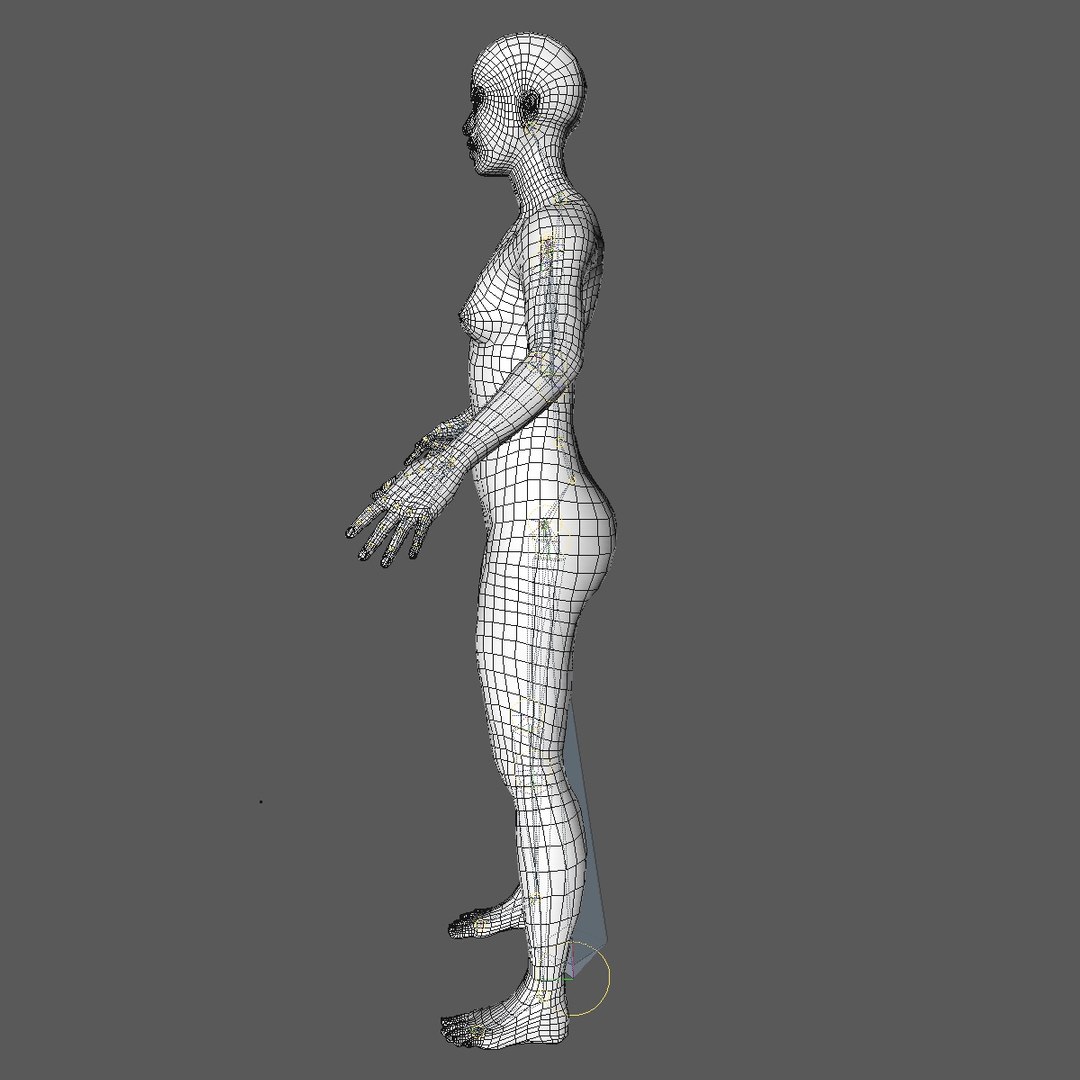 Realistic Human Body 25 3D Model - TurboSquid 1260209
