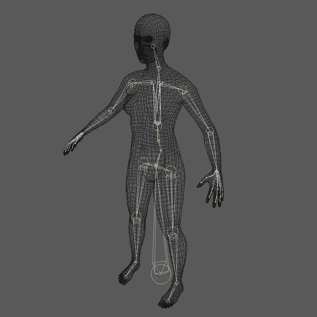 Realistic Human Body 25 3D Model - TurboSquid 1260209