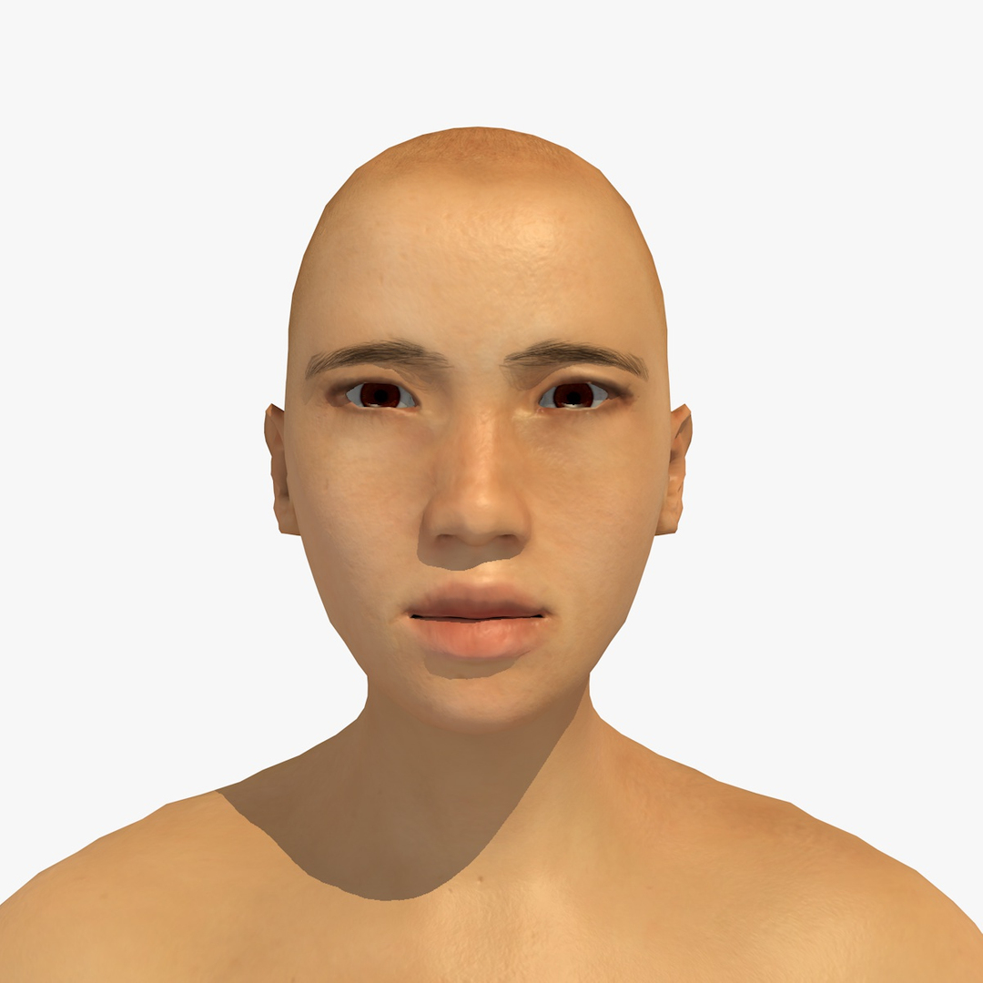 Realistic Human Body 25 3D Model - TurboSquid 1260209