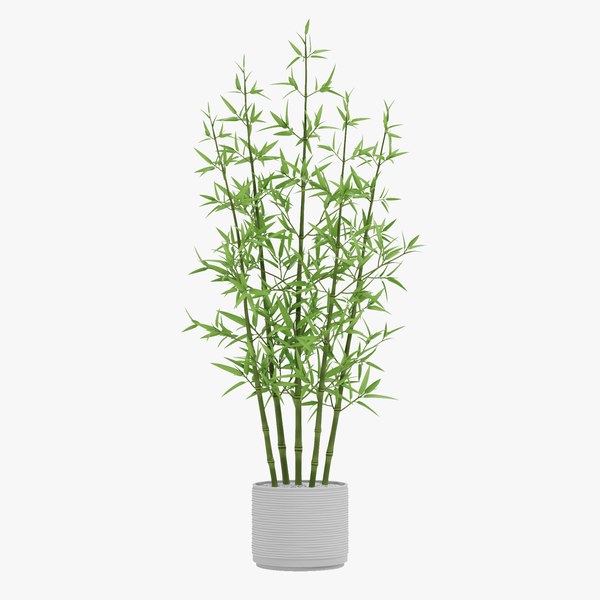 Free 3D Bamboo Models | TurboSquid