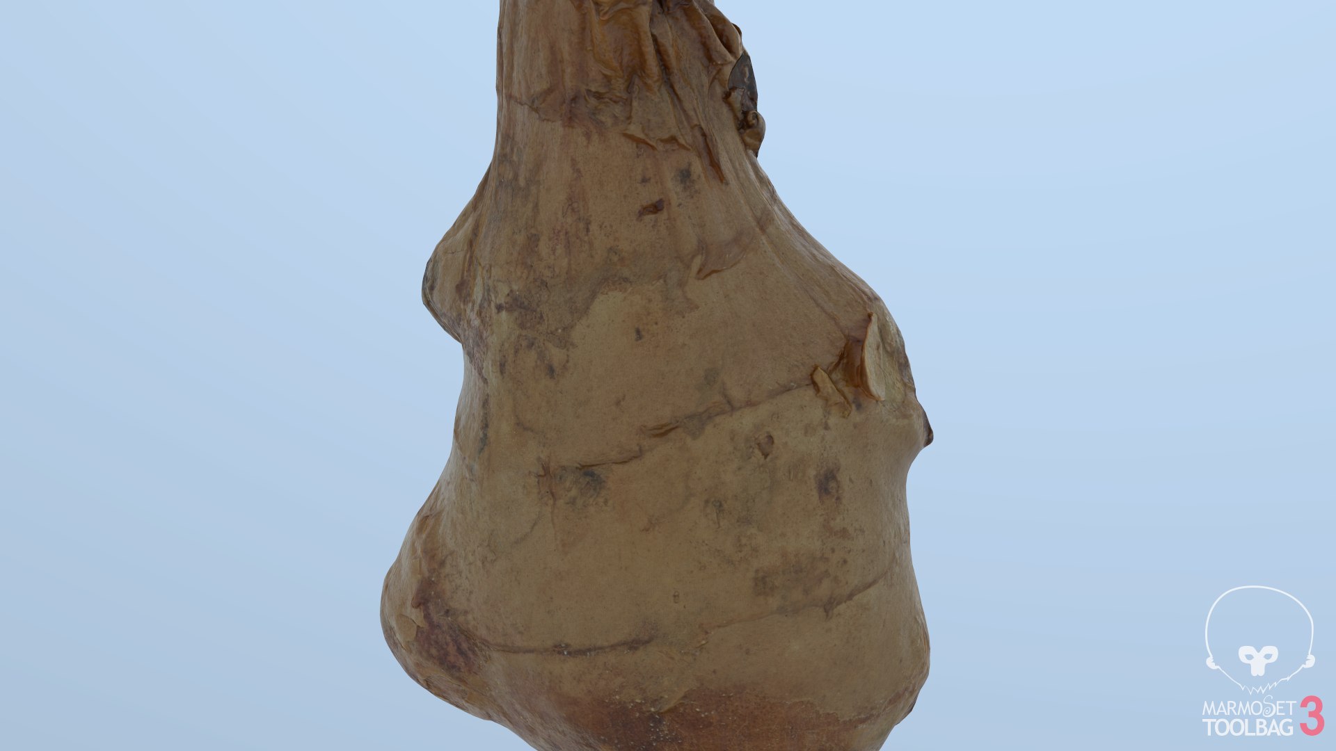 Ginger 3D model - TurboSquid 1695169