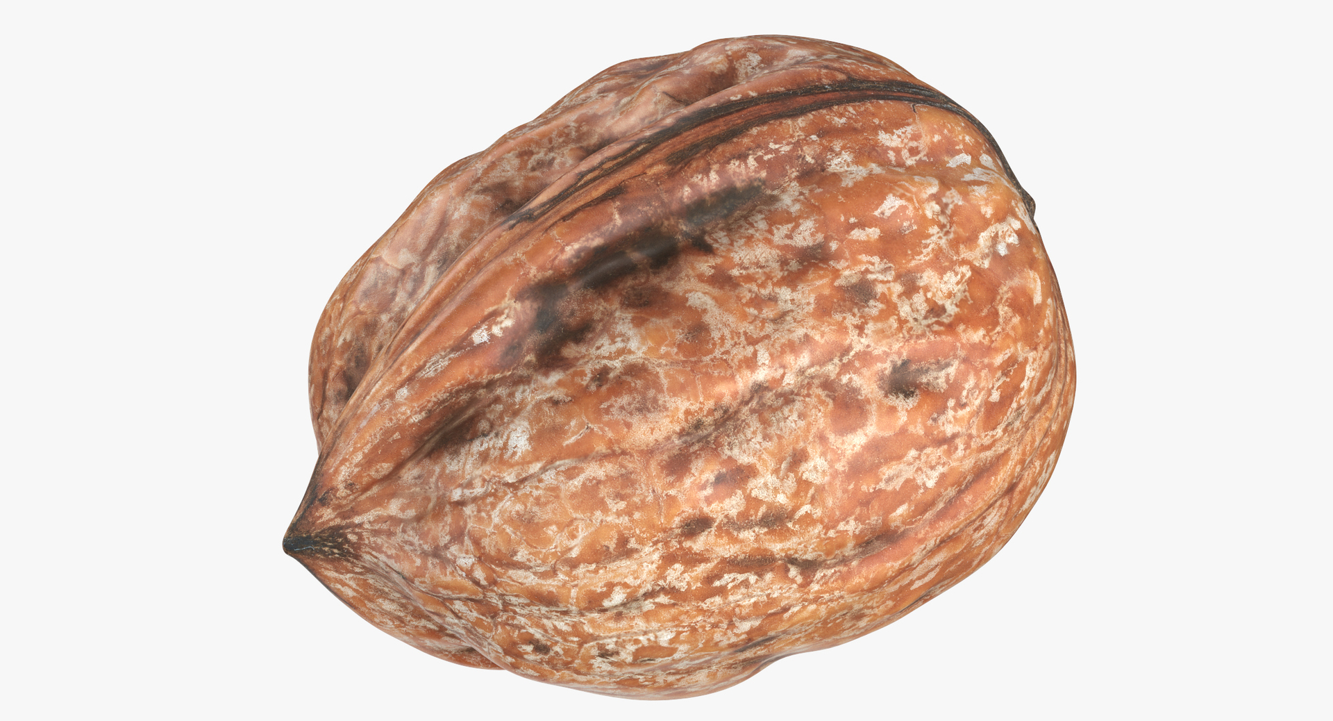 Walnuts 03 3D Model - TurboSquid 1463773