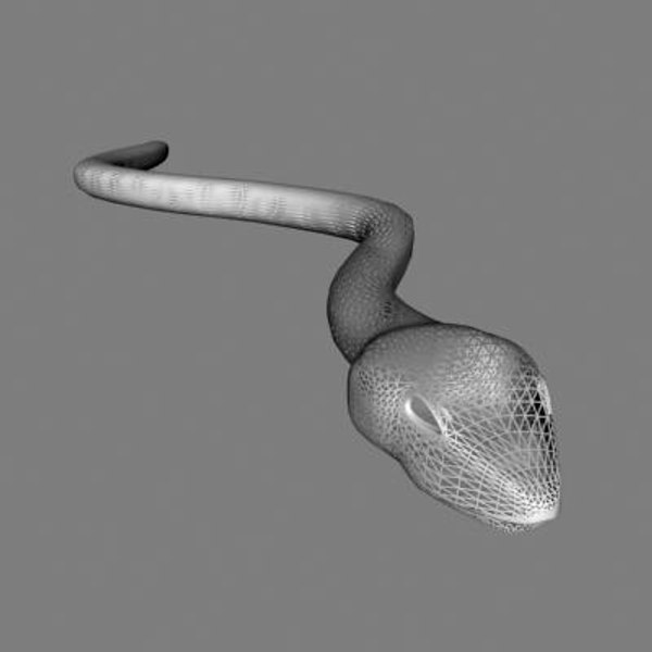 3d snake model