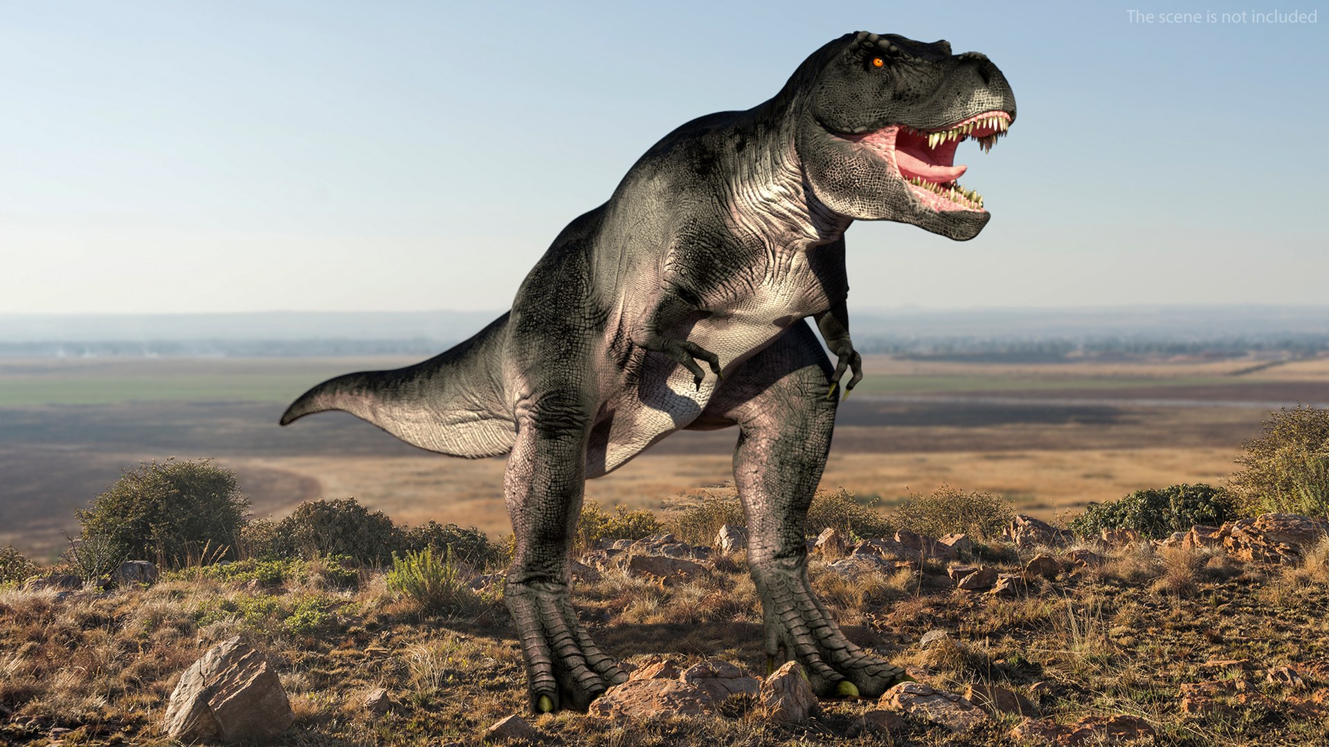 3D T Rex Roaring Animated Rigged For Maya - TurboSquid 2108037