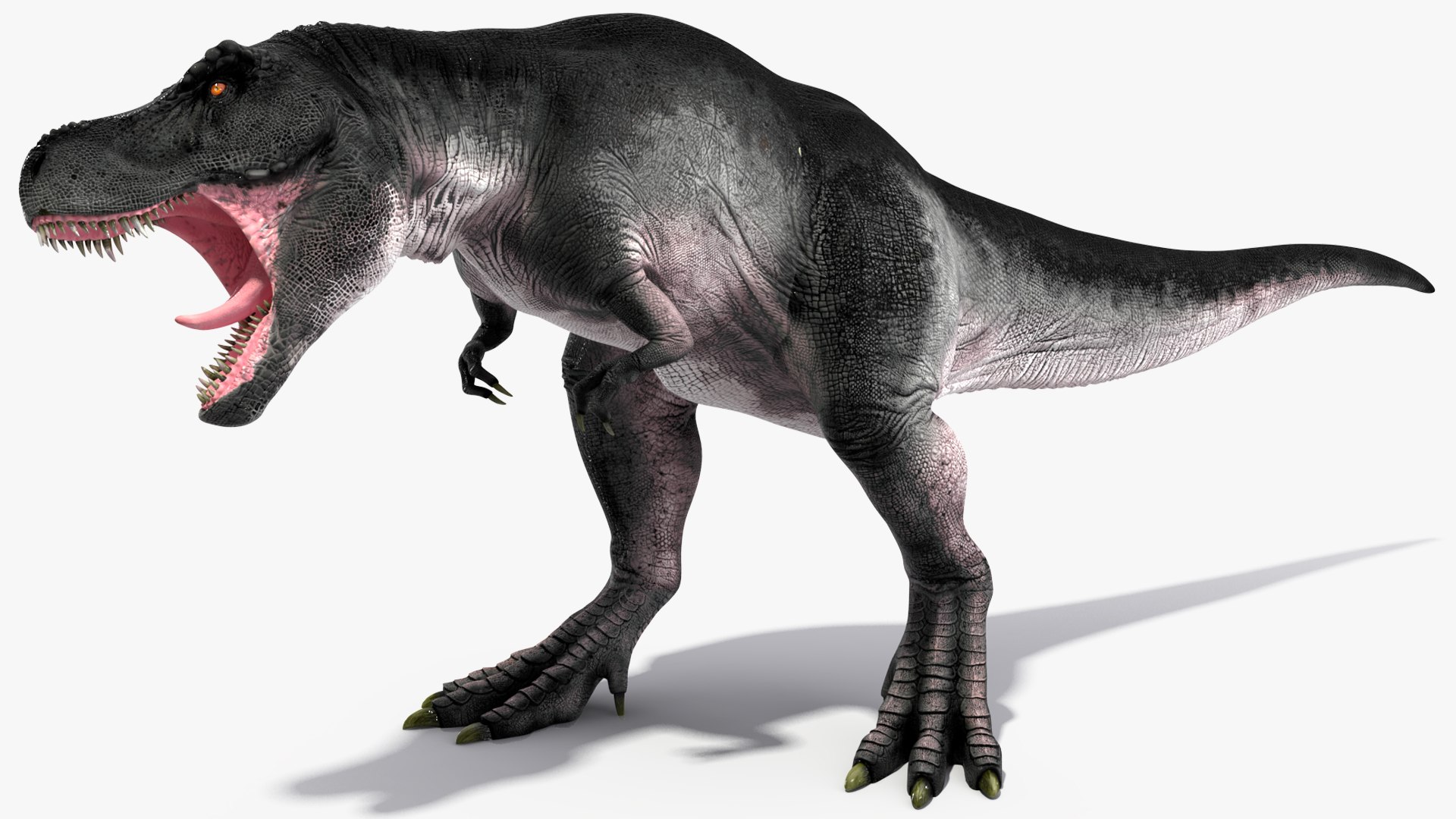 3D T Rex Roaring Animated Rigged for Maya - TurboSquid 2108037