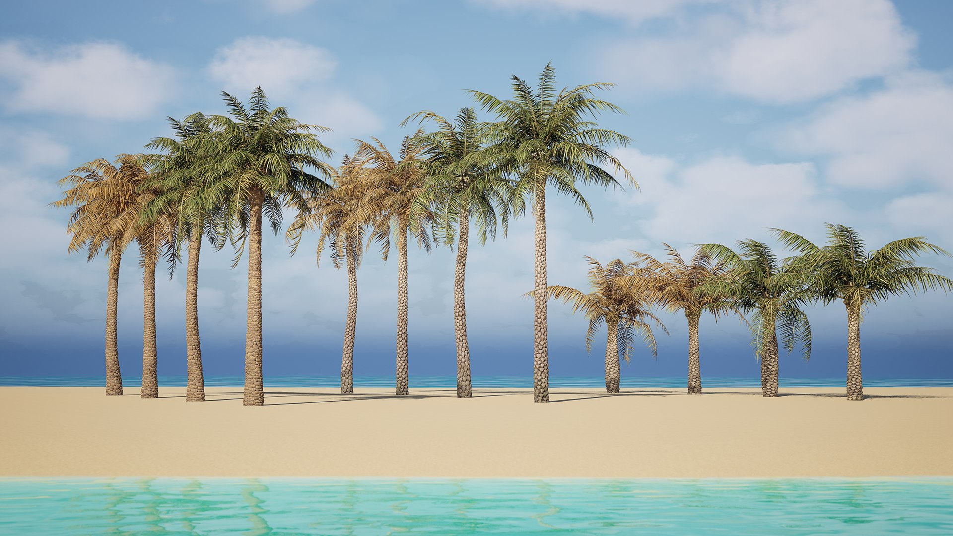 3D Model Palm Tree Collection - TurboSquid 2494767