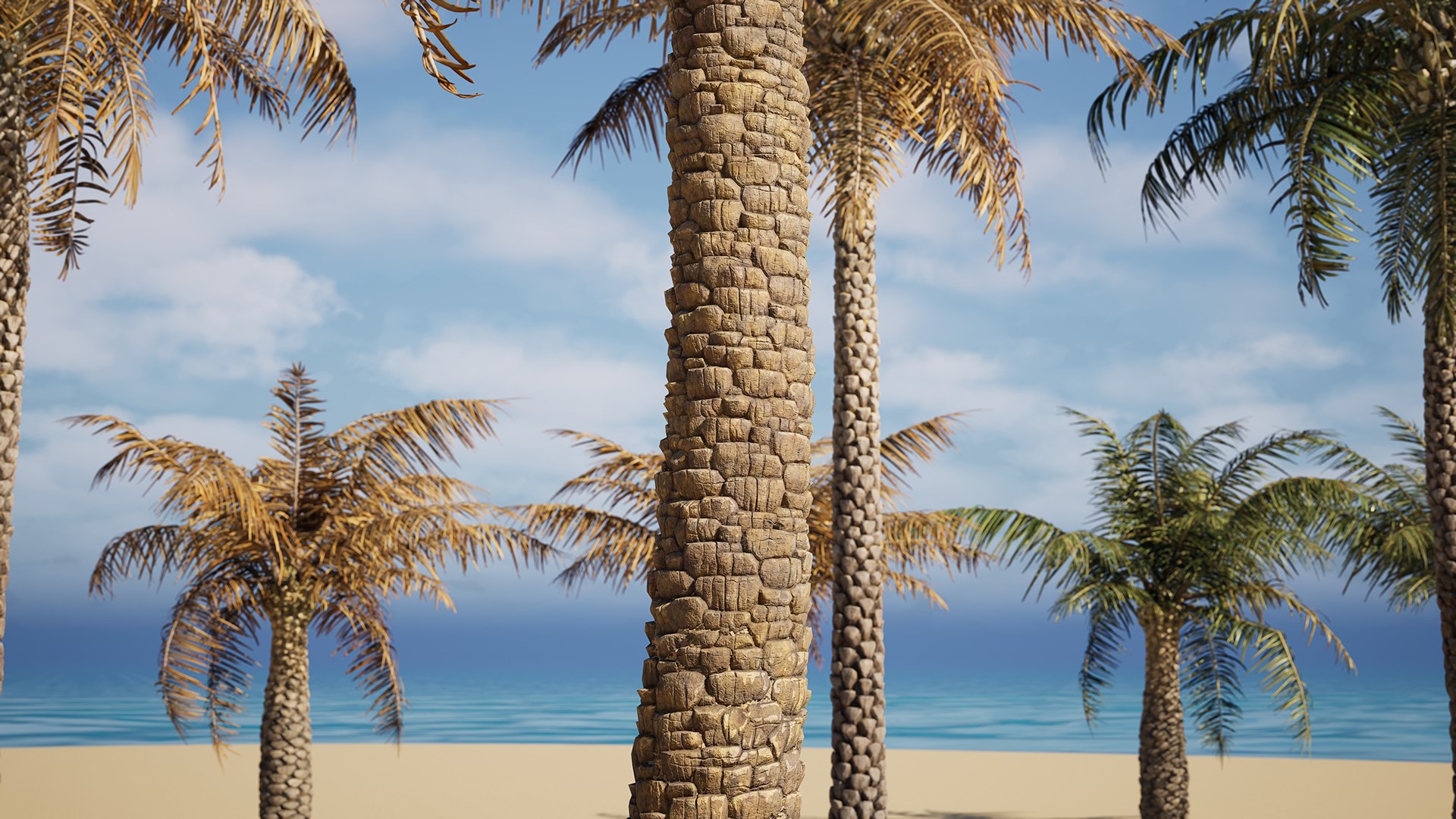 3D Model Palm Tree Collection - TurboSquid 2494767