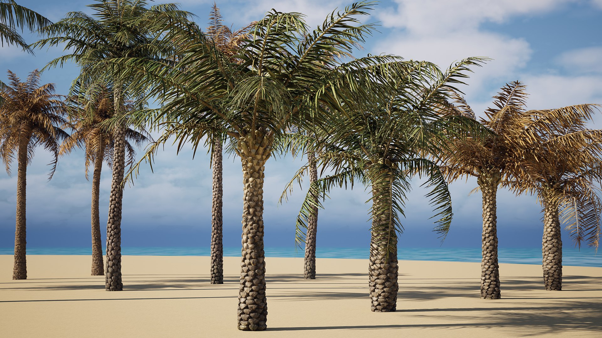 3D Model Palm Tree Collection - TurboSquid 2494767