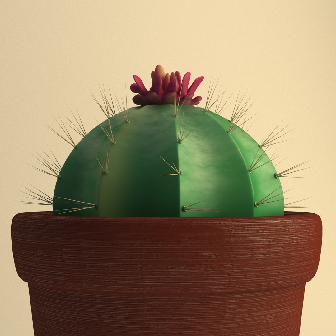 3d Stylized Potted Cactus Model