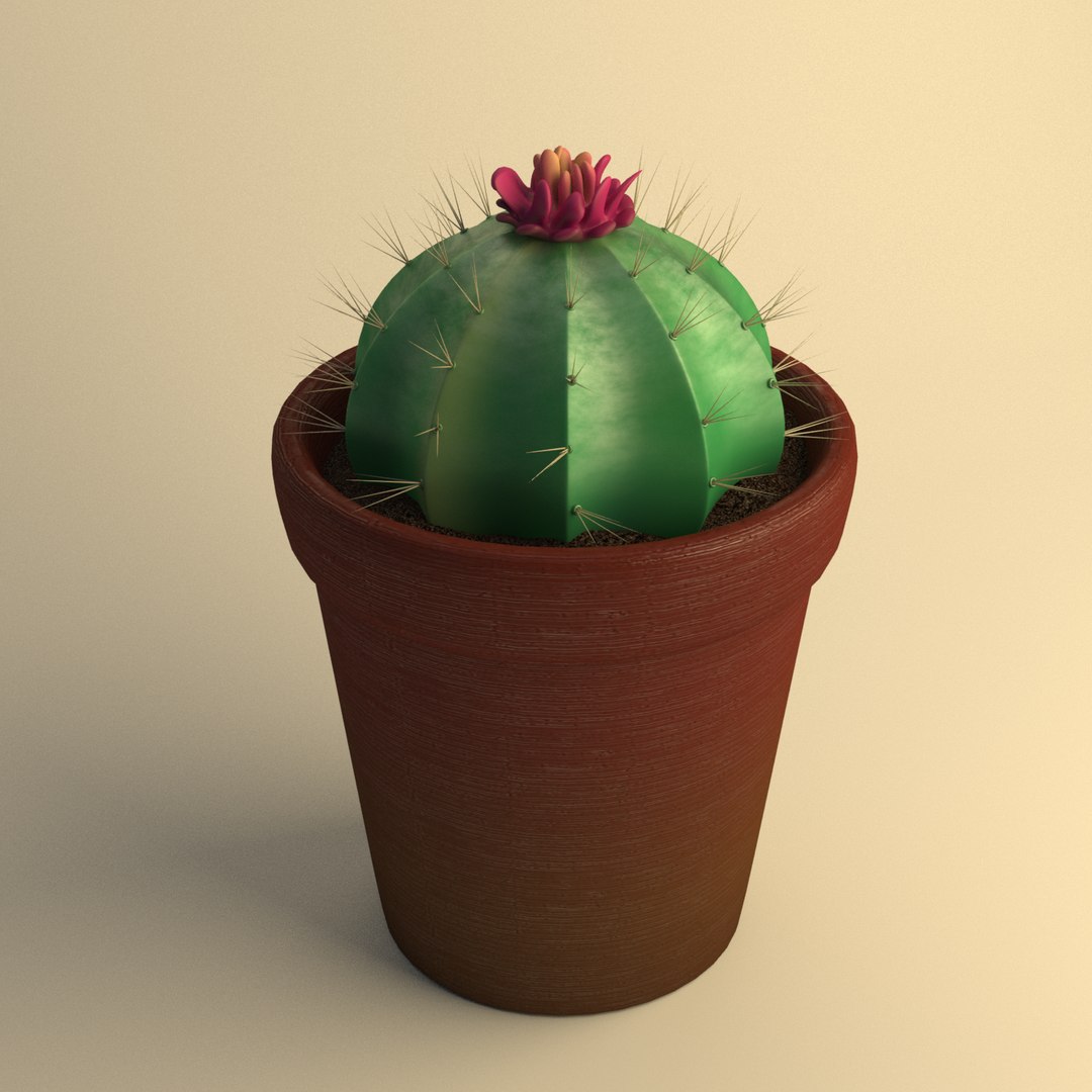 3d Stylized Potted Cactus Model