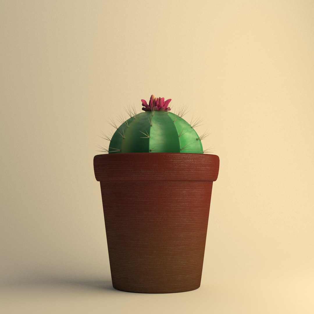3d Stylized Potted Cactus Model