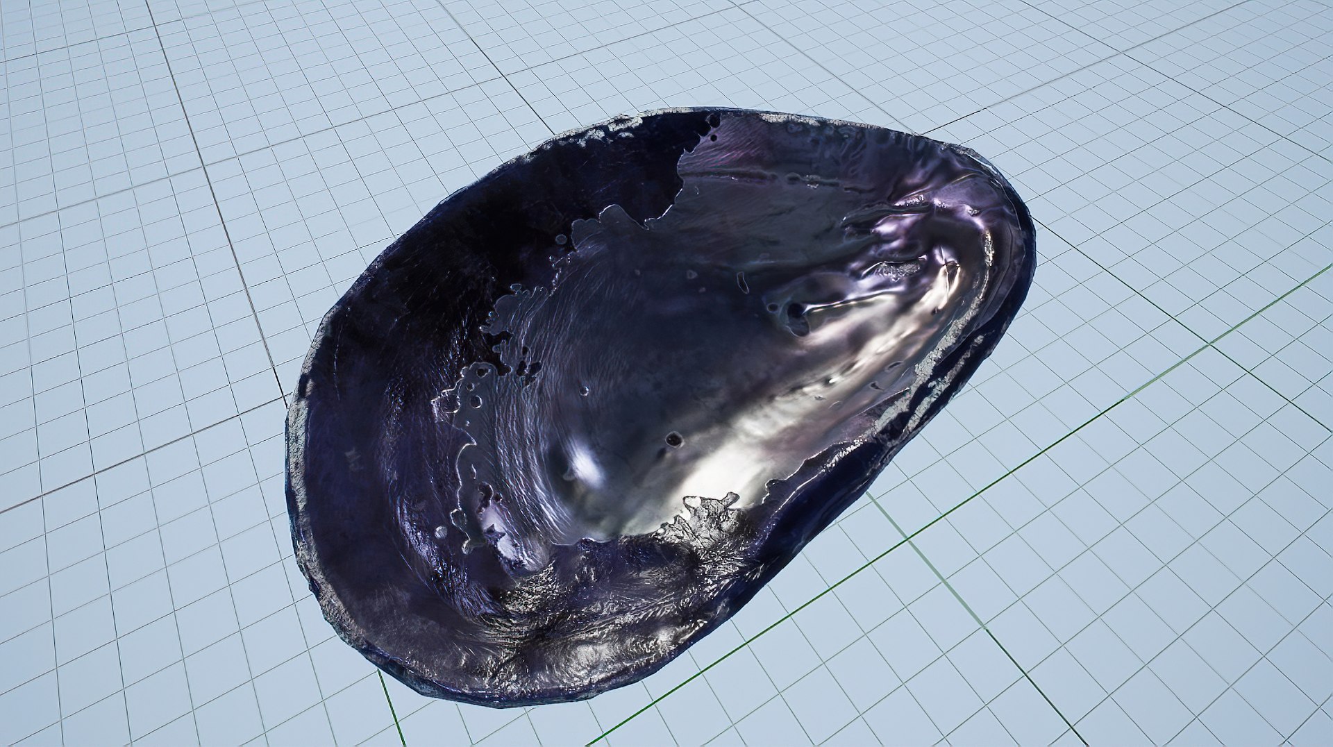 3D Mussel Shell - TurboSquid 1521493