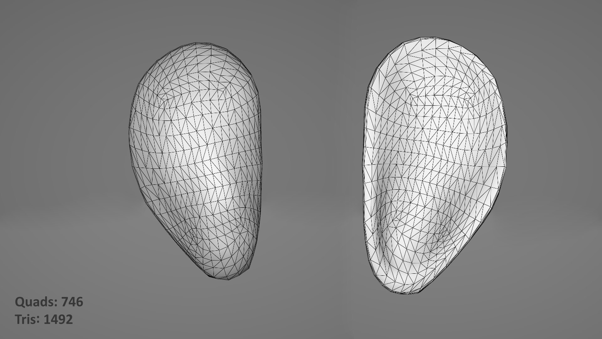 3D Mussel Shell - TurboSquid 1521493