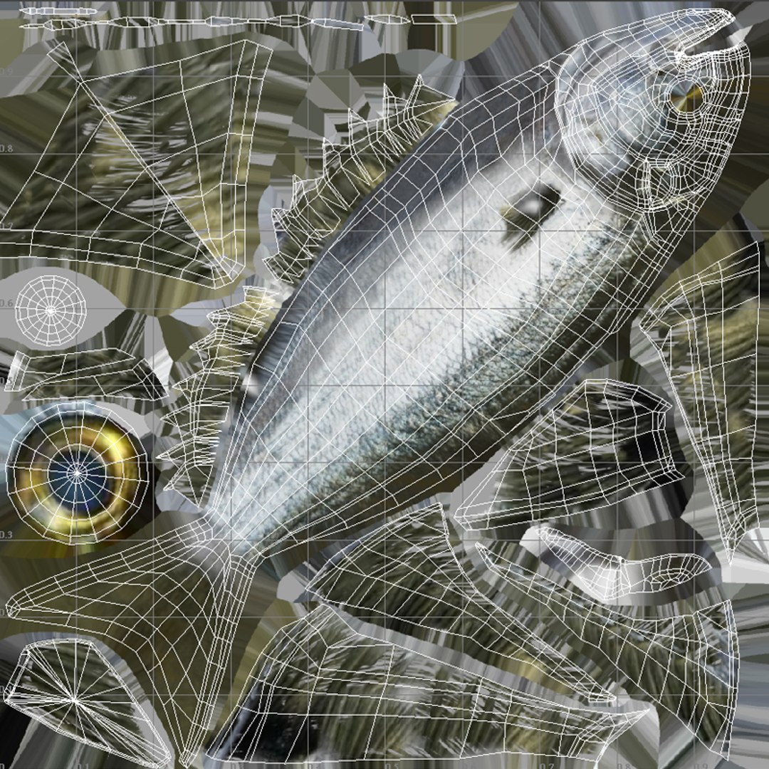 Bluefish Tailor Fish 3D - TurboSquid 2191261