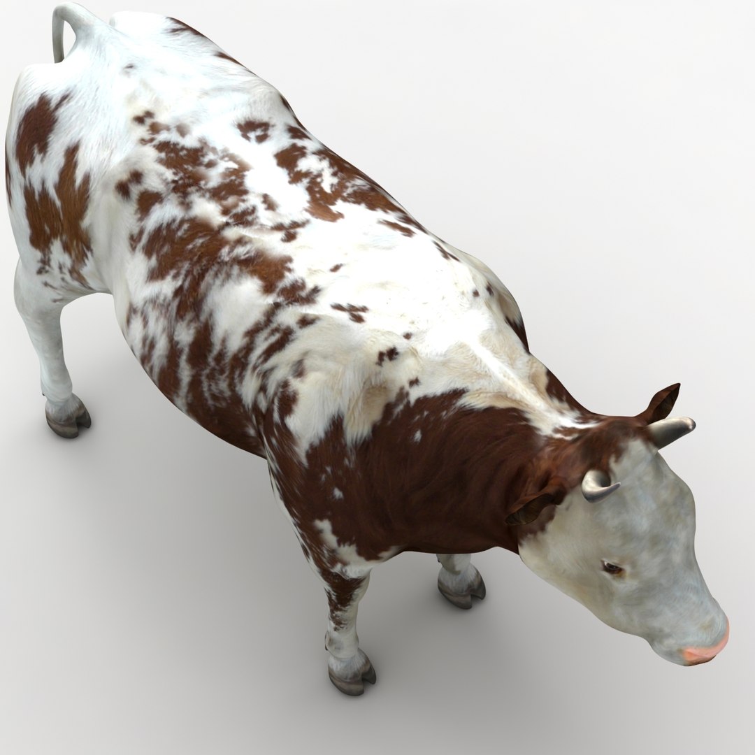 3d Model Dugm02 Cow