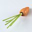 Carrot Max